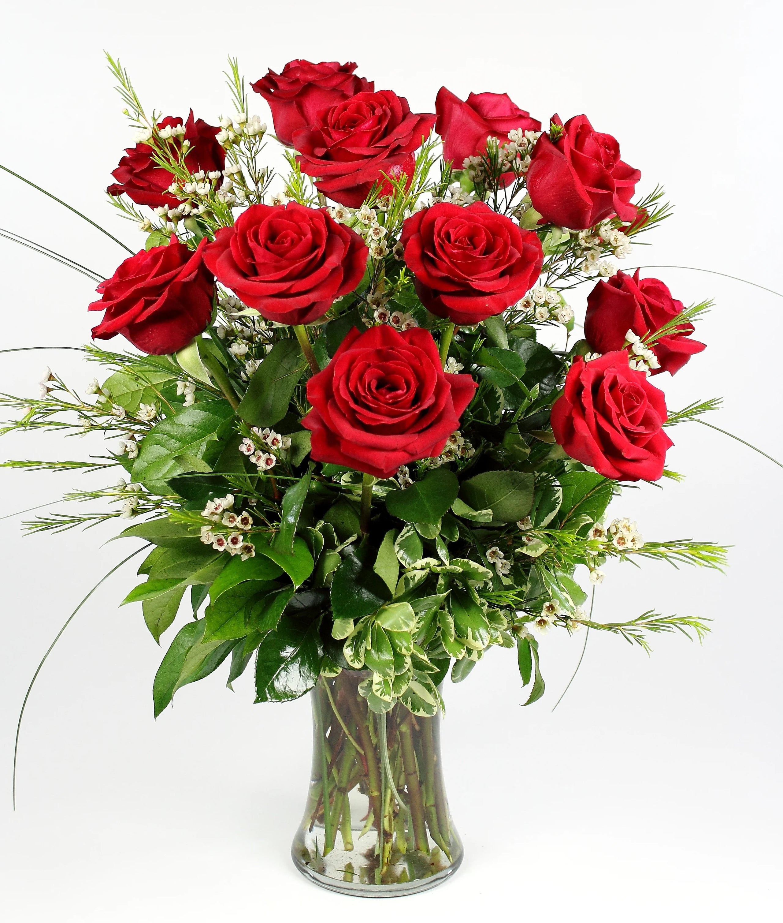 12 Red Long Stem Roses | Blooms&More